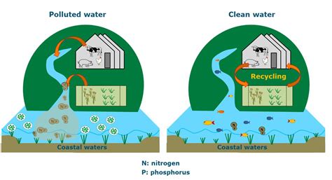 Environmental Nutrient Testing Wet Chemistry Boc Sciences