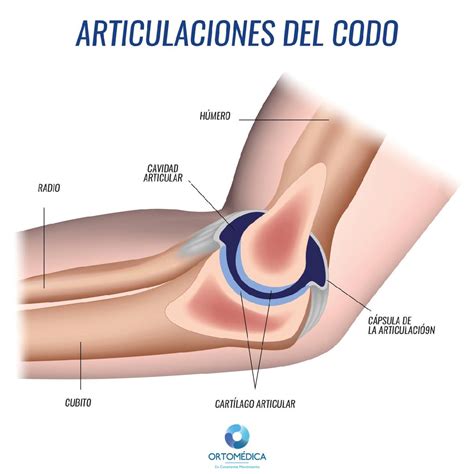 Rango De Movimiento Del Brazo