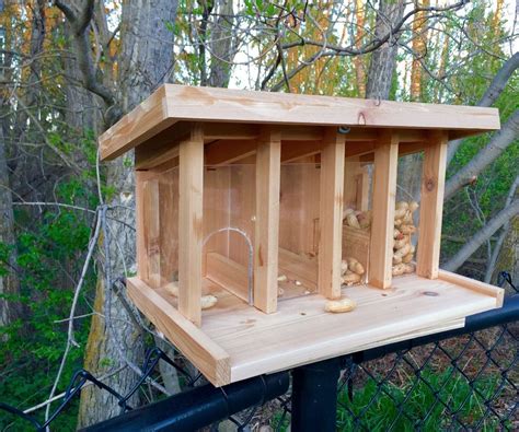 Diy Squirrel Feeder Easy At Leta Tabor Blog