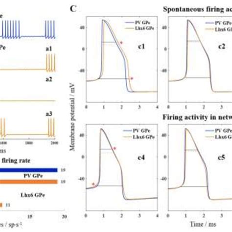 Time Series A And Spontaneous Firing Rates B Of Heterogeneous Gpe