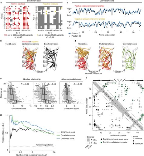 Likelihood Of Epistatic Interactions And Correlated Interaction