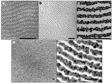 Hierarchical Self Assembly Of Metal Nanostructures On Diblock Copolymer Scaffolds Nature