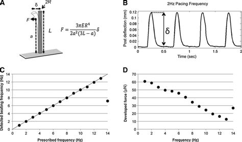 Analysis Of The Post Deflection Based On The Elastic Beam Theory Download Scientific Diagram