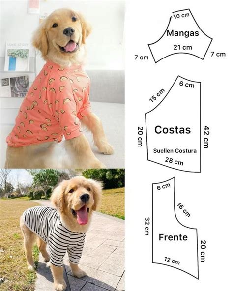 Costura Y Patronaje Patrones De Suéter De Perro Facebook Molde