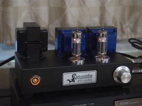 Skunkie Designs 6bm8 Amp