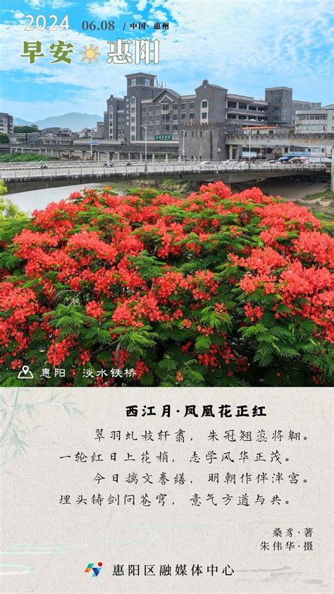 早安惠阳 不负时光，未来可期！黄丽珊