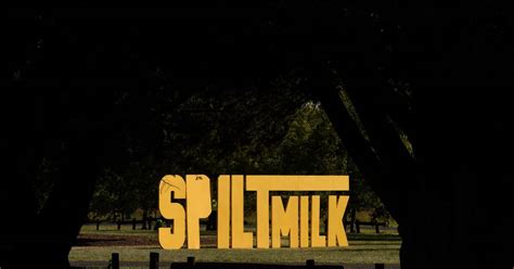 Webwords Pill Testing Backed For Ballarats Spilt Milk Festival The Courier Ballarat Vic