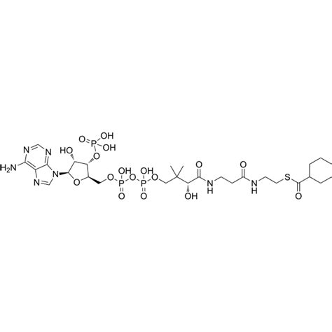 Cyclohexanoyl Coenzyme A Cas 5960 12 3 Abmole Bioscience
