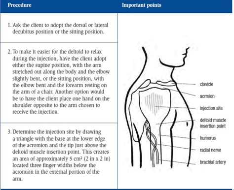 Intramuscular Im Injections