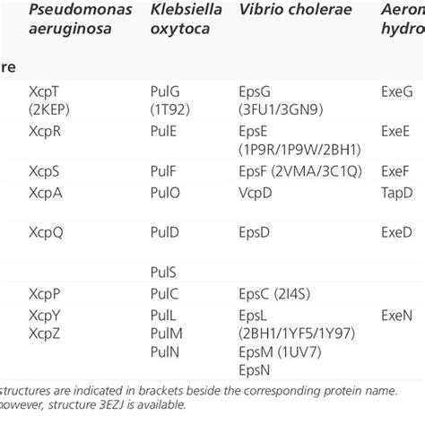 Key Components Of The Type Ii Secretion System Machinery Download Table