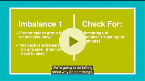 Mastering Hip Massage By Mark Senzig