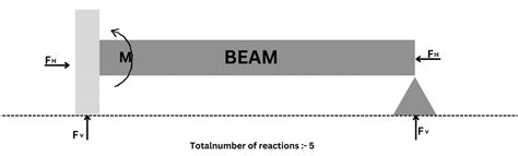 Types Of Support And Reaction