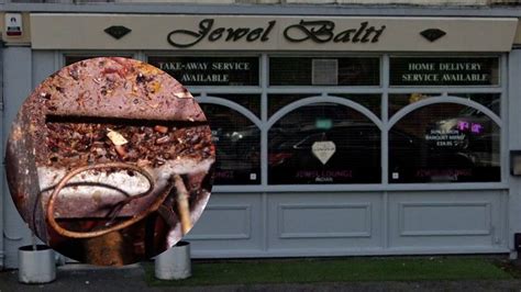 Newport Indian Restaurant Fined After Maggots Rats And Cockroach