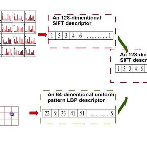 Steps 4 And 5 Of Sift Lbp Feature Integration Download Scientific