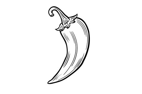 Chilli Coloring Page For Adults Graphic By Forhadx5 · Creative Fabrica