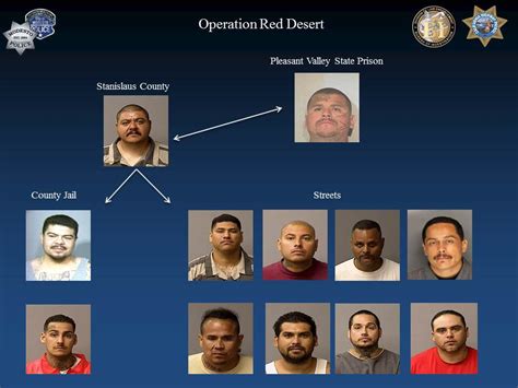 The Gang Members Who Were Investigated And Arrested During The Large
