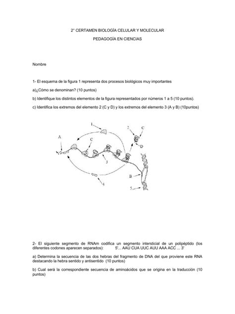 2 Certamenbiol Cel Y Mol Pdf