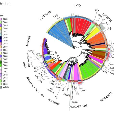 Pdf Thousands Of Novel Endolysins Discovered In Uncultured Phage Genomes