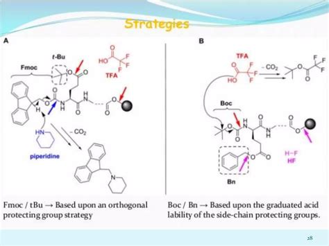 Spps And Side Reactions In Peptide Synthesis Pptx Spps And Side Reactions In Peptide Synthesis Pptx