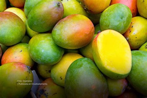 Mango Colombiano Partió Hacia Estados Unidos Más Colombia