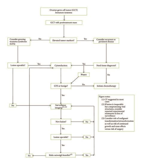 Algorithm Suggested For Management Of Pediatric Female Patients With