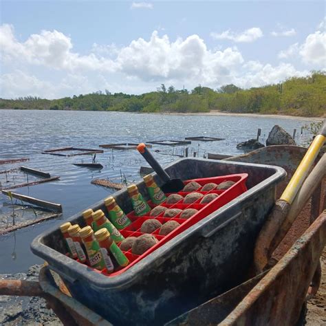 Ryan De Jongh On Linkedin 🌱some Tricks