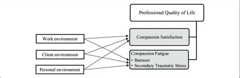 Professional Quality Of Life Model Note This Model Shows The