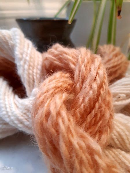 Dyeing With Apple Leaves And Twigs Natural Dye Fabric Botanical