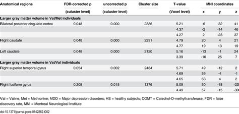 Results Of Voxel Based Morphometry Analysis Download Table