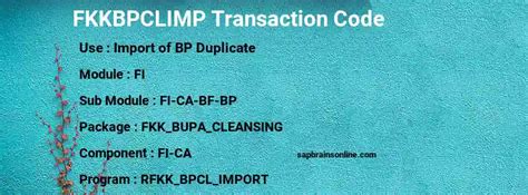 fkkbpclimp sap tcode for import of bp duplicate