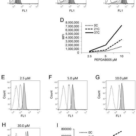 Cell Processing Of Pepdab005 Substrate And Staining With Its