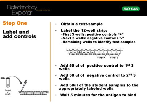 Elisa Immuno Exlorertm Antibodies In Agriculture Ppt Download