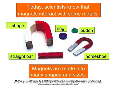 Types Of Magnet Shapes At Donna Casas Blog