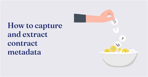 Contract Metadata Extraction The Ultimate Step By Step Guide
