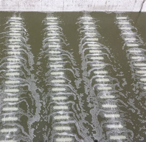 Aquaflex Apd650 Plate Diffuser