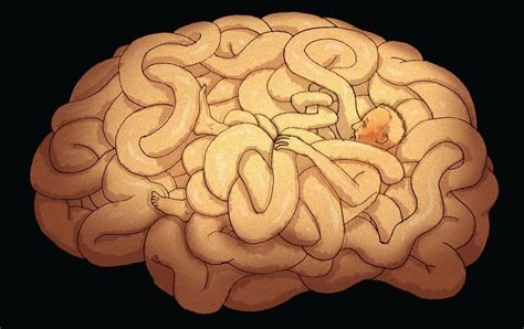 Why Do People Kill Themselves Scientific American