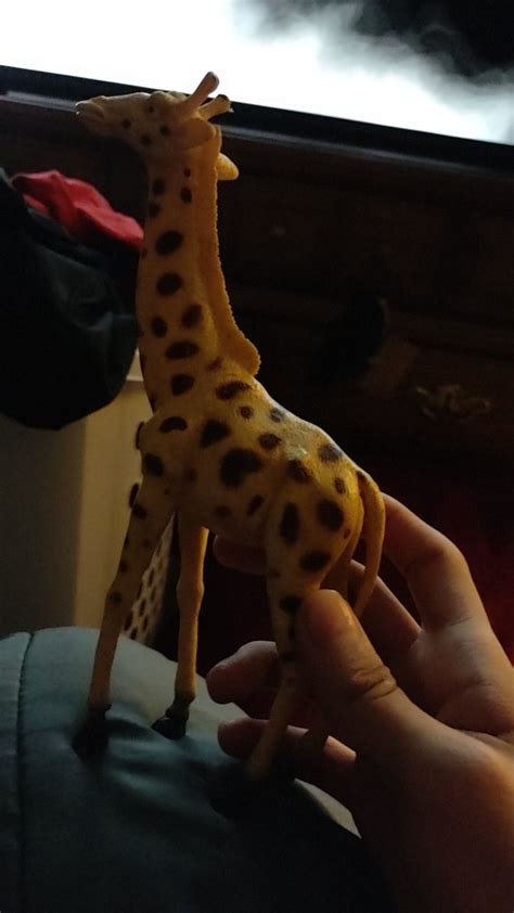 Hey Guys I Found Cock Rcharborg