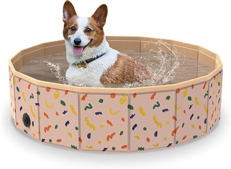 Luckup Plastic Pet Pool Wayfair