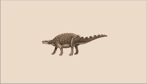 Images And Collectibles Of Living And Extinct Animals Images And Collectibles Of Living And Extinct Animals