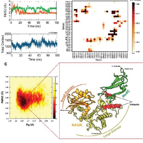 Verification Of Interaction Of N Acetylglucosamine Kinase Nagk With Download Scientific