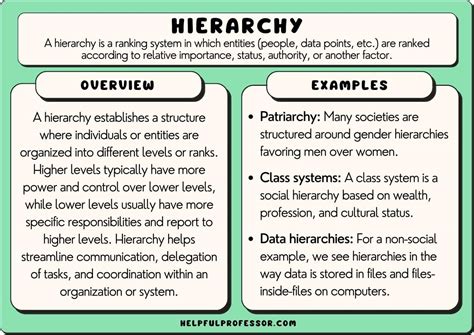 15 Hierarchy Examples 2026
