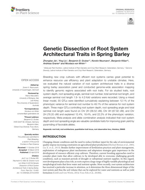 Pdf Genetic Dissection Of Root System Architectural Traits In Spring