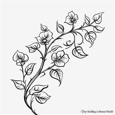 Flower Vine Coloring Pages Free And Printable