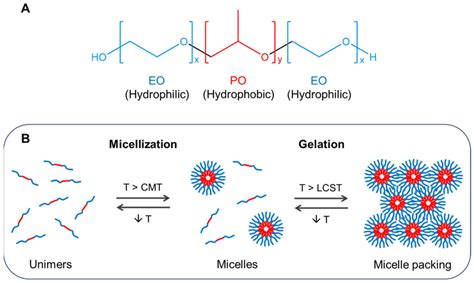 Schematic Of The Structure And Reversible Thermoresponsive Behavior Of