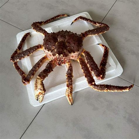 Buy United States Wholesale Alaskan King Crab Worlwide Shipping