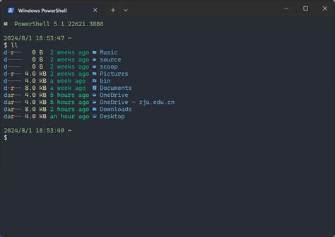 oh my posh基于WindowsTerminal的powershell美化教程 开发调优 LINUX DO