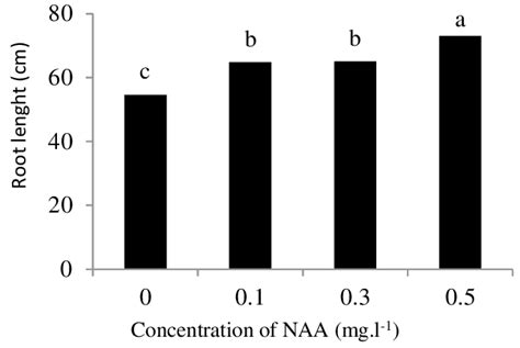 Effect Of Naa Application On Root Length Download Scientific Diagram