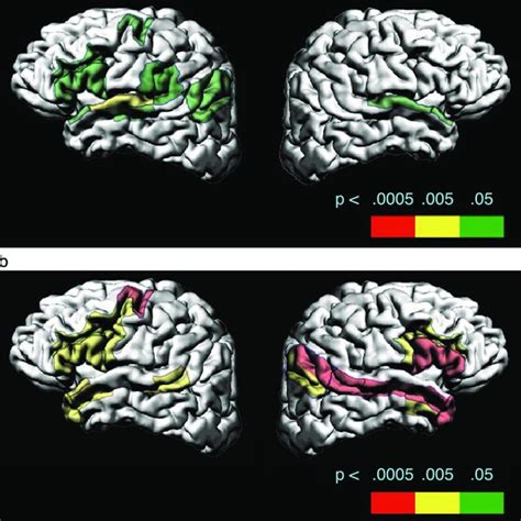a cortical areas displaying activation for audio visual english