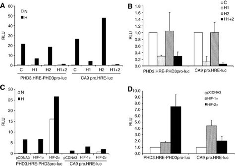 Analysis Of Cis Acting Determinants Of Hif Transcriptional Selectivity