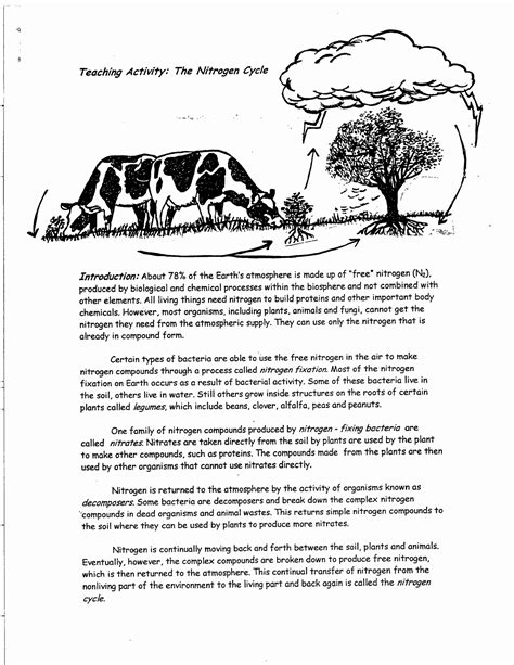 50 Nitrogen Cycle Worksheet Answers Chessmuseum Template Library
